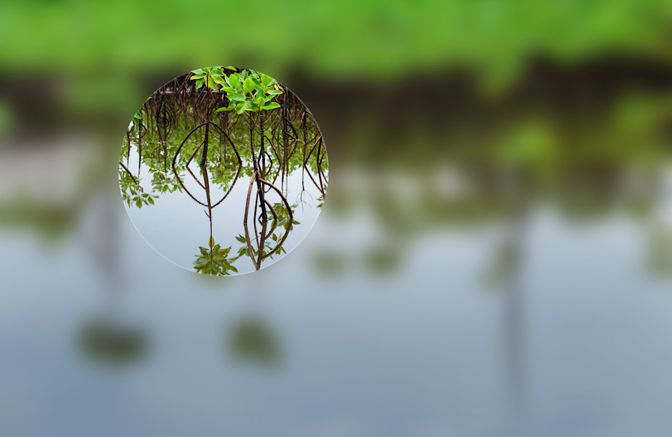 What role does ESG play? | Robeco UK