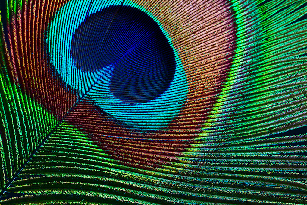 Robeco’s factor investing indices: smarter than smart beta | Robeco ...