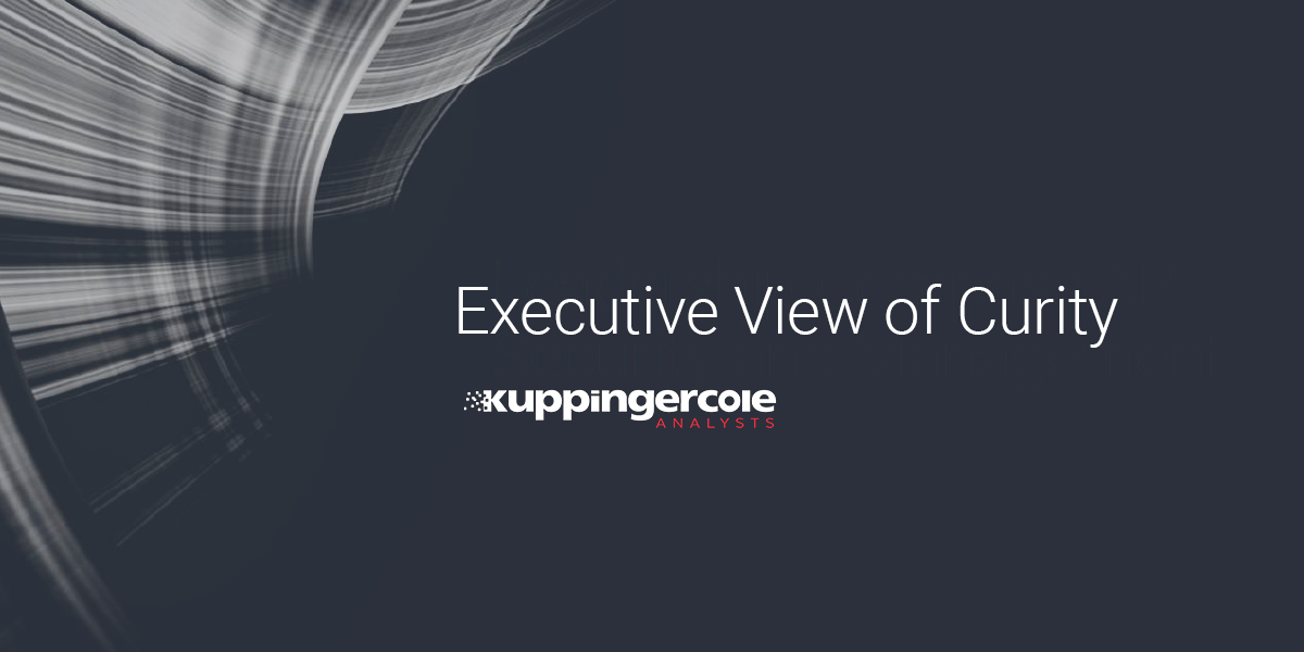 Executive View of Curity | Documents