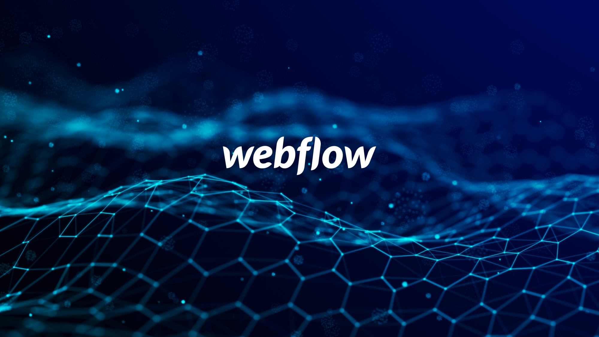 Webflow, wie? | Nerds & Company
