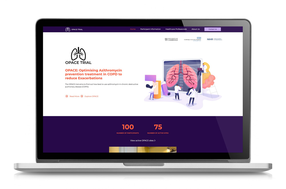 Website Design Cambridge - Website Developer