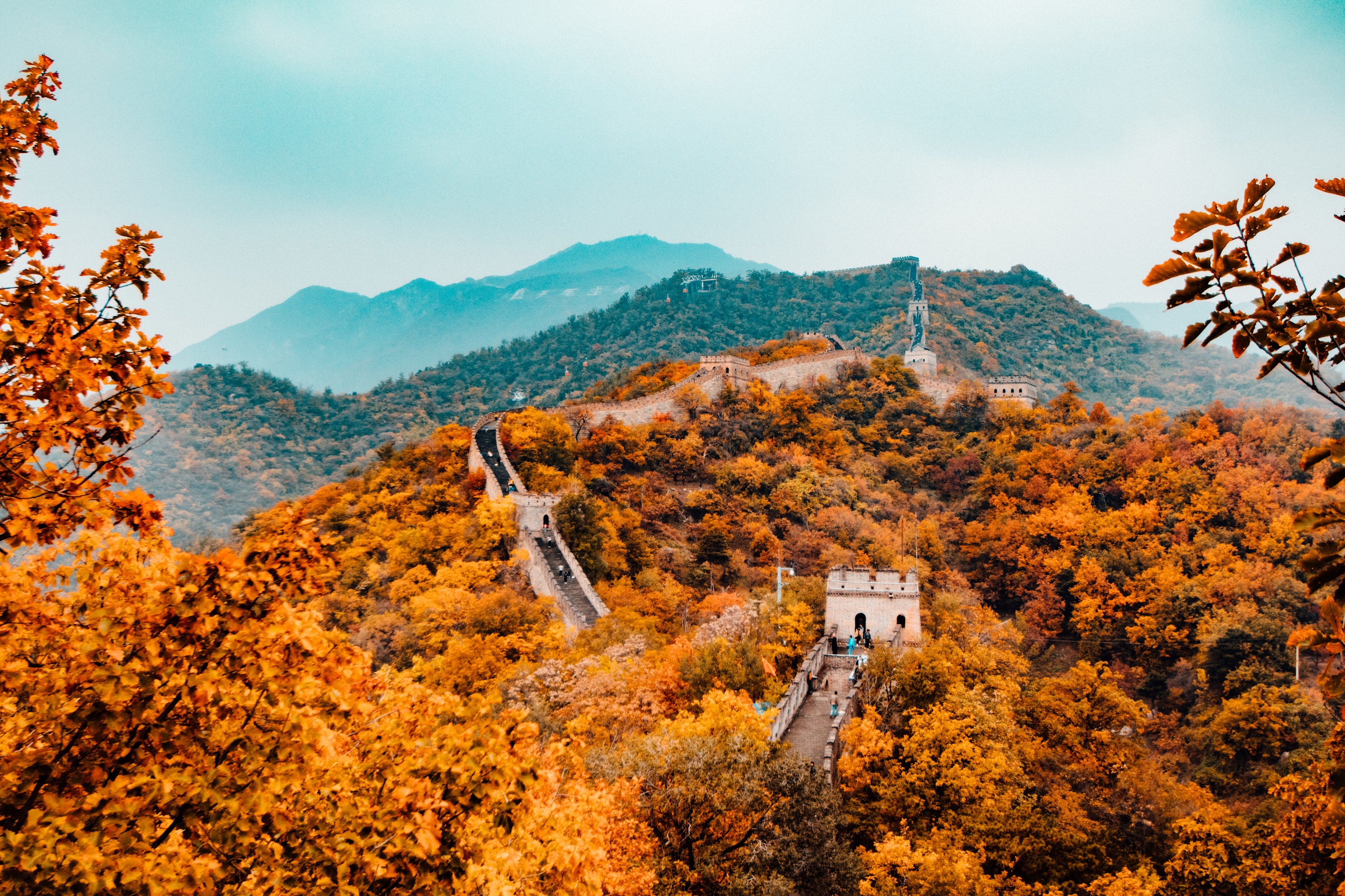 Why China?