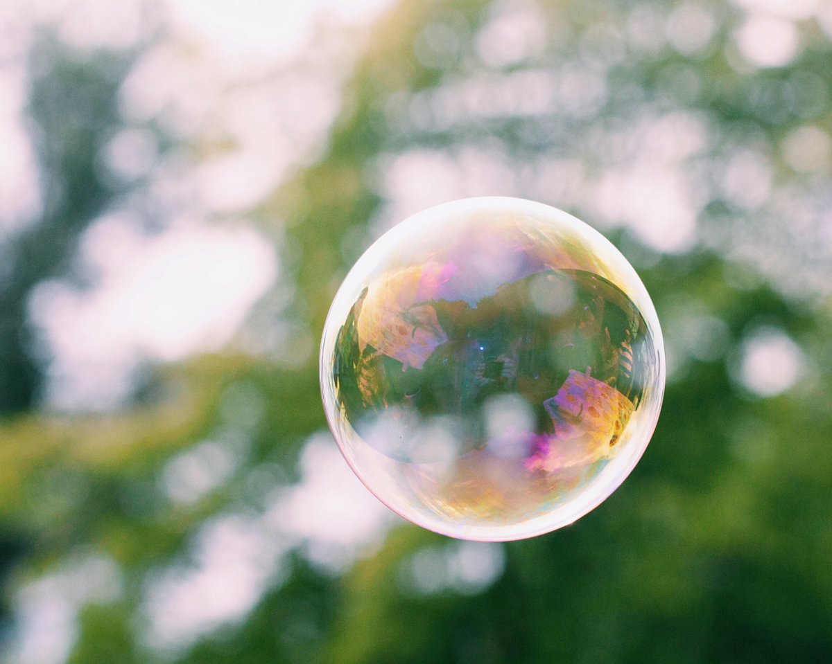 Anatomy of a Bubble