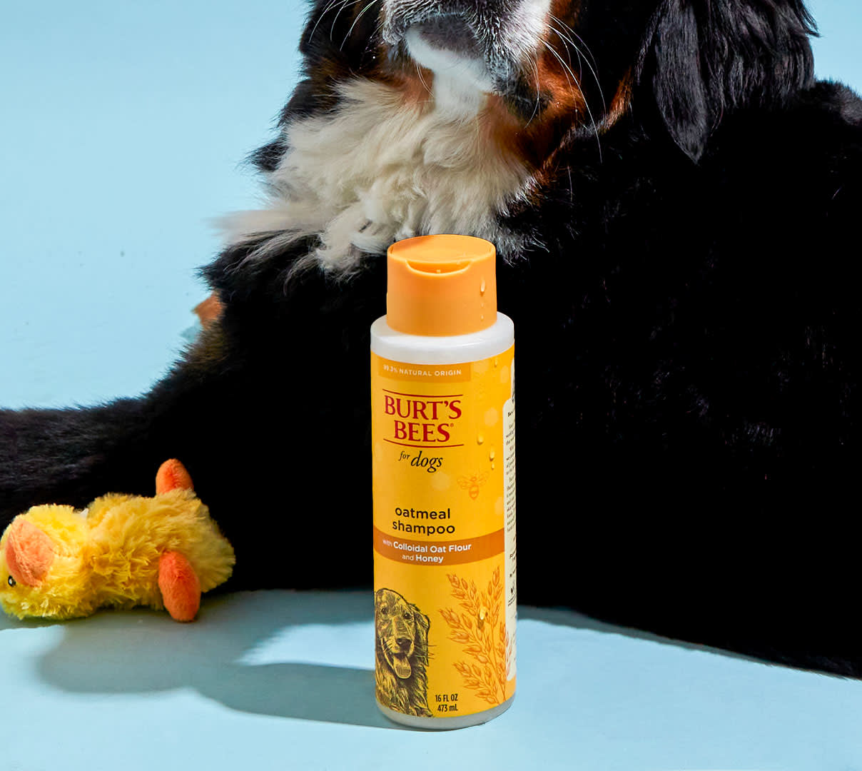 The 6 Best Dog Shampoos for Every Fur Type and Budget | DoorDash Blog