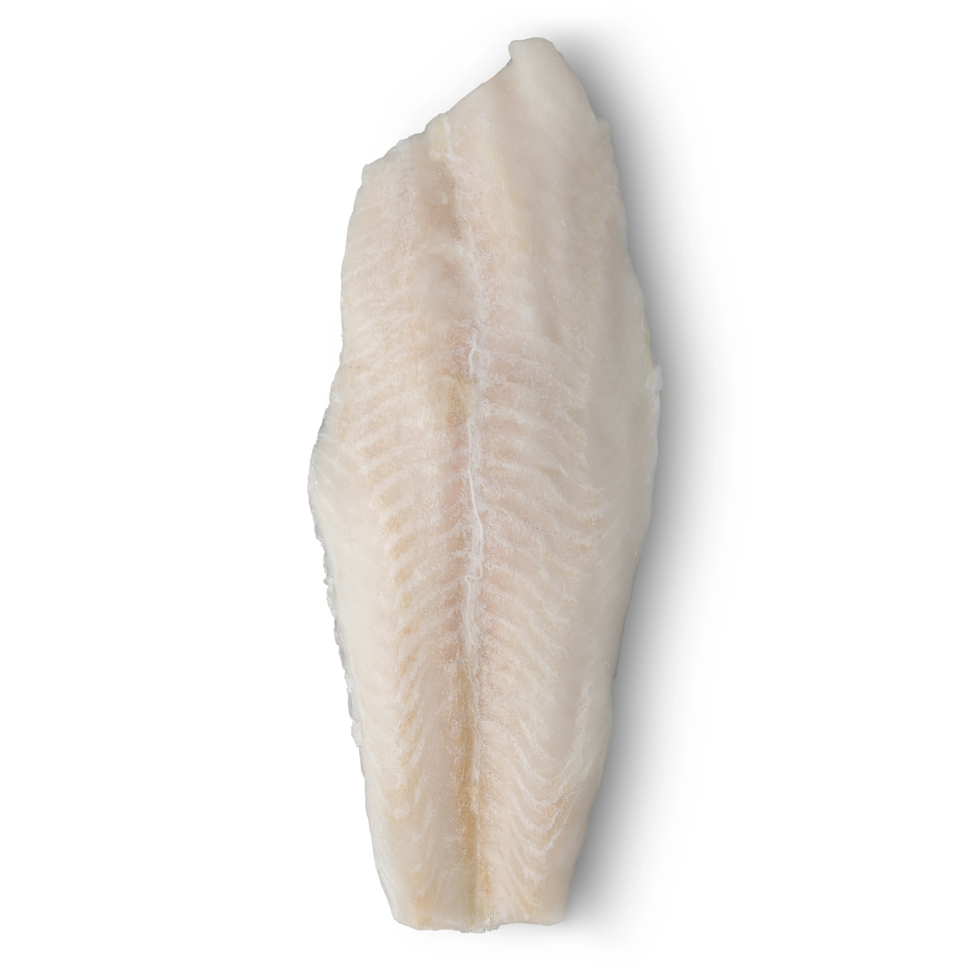 Basa Fillet