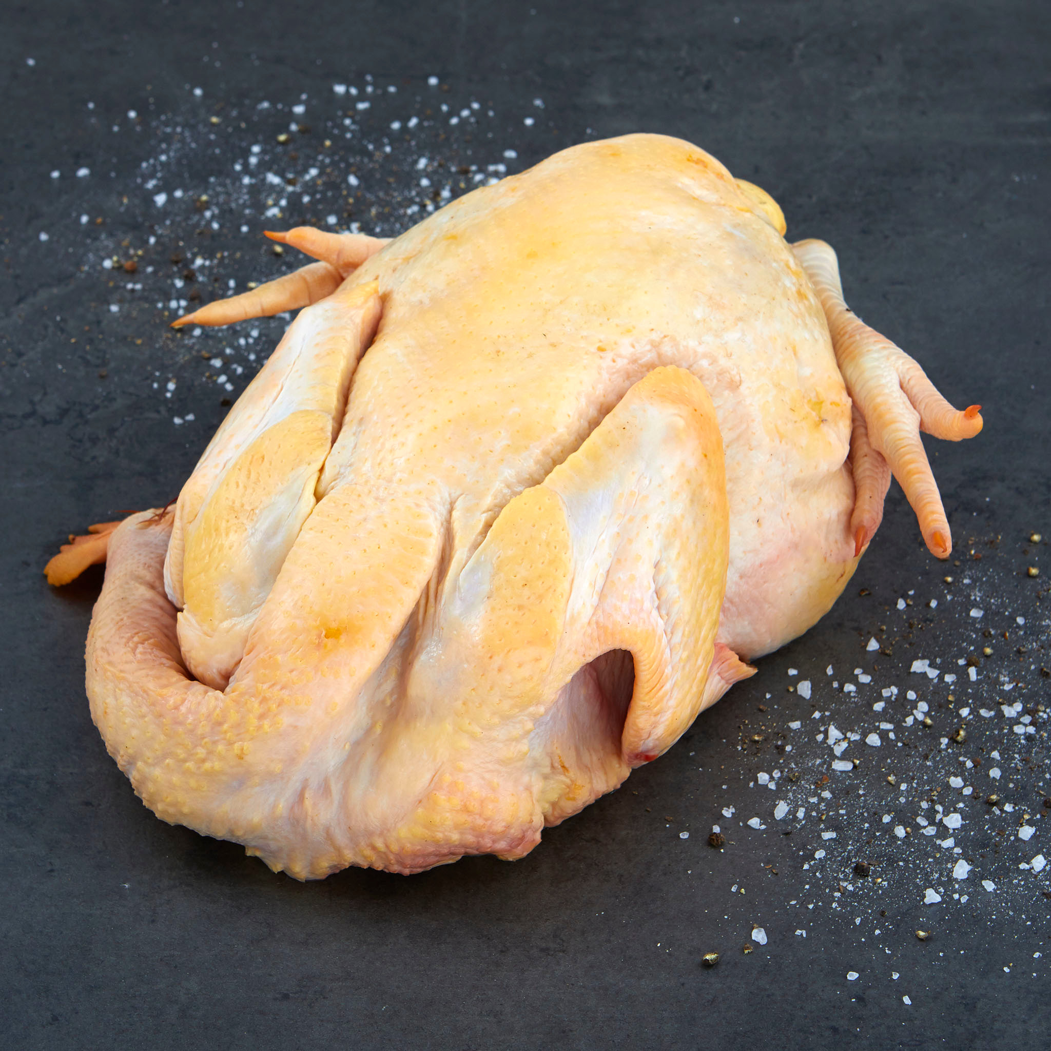 Sasso Chicken