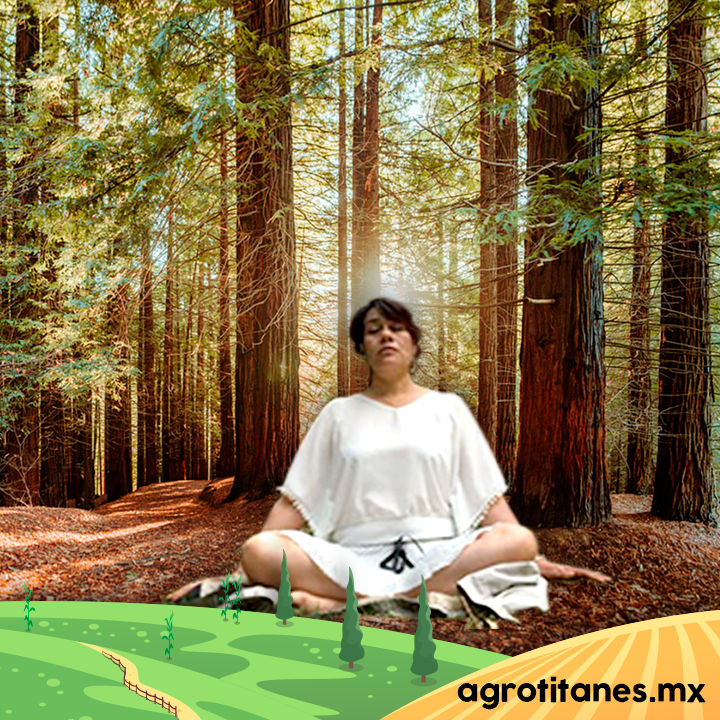 Asume tu responsabilidad y se libre | Agrotitanes