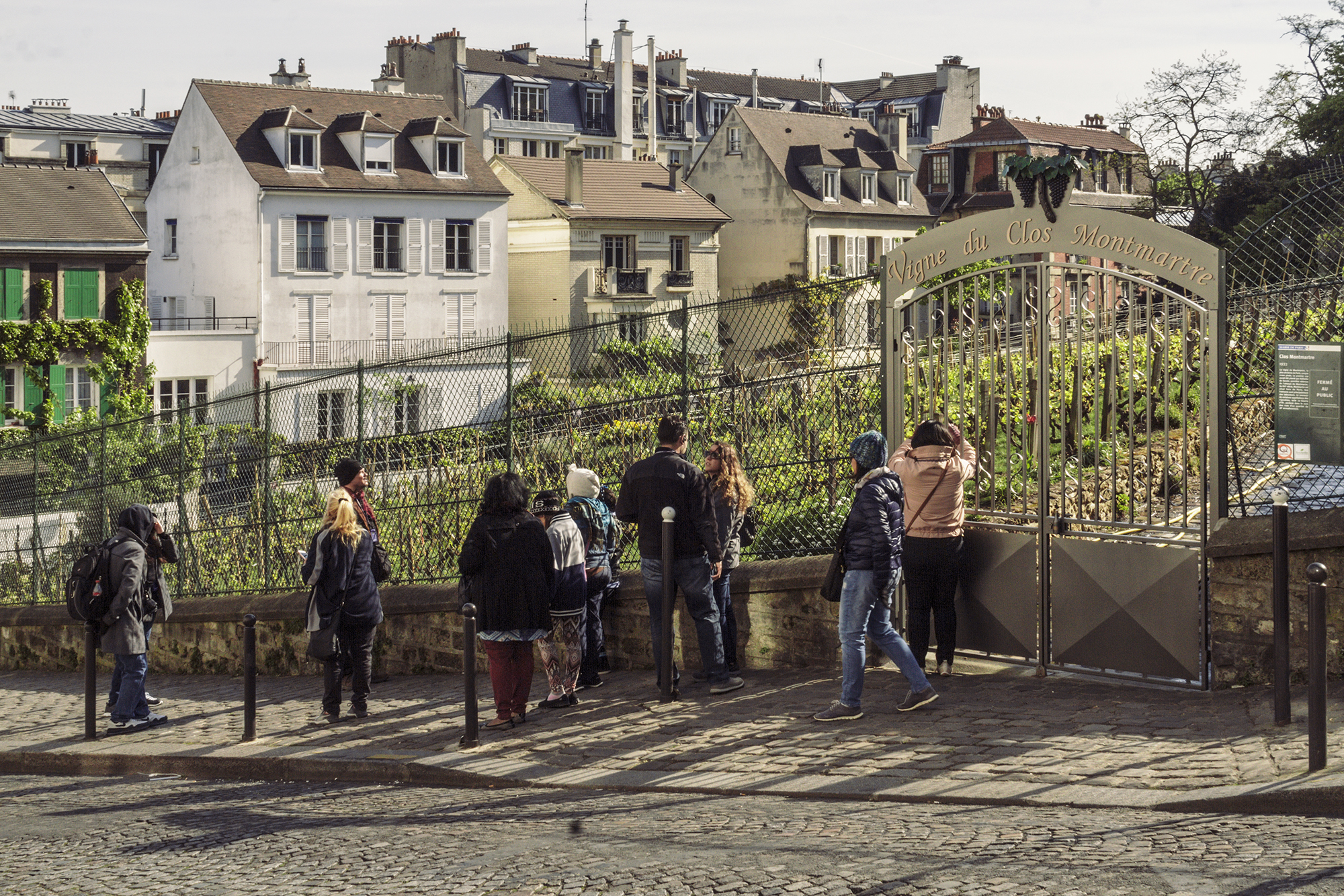 Paris in a Day Tour – See the Top Landmarks & Hidden Gems