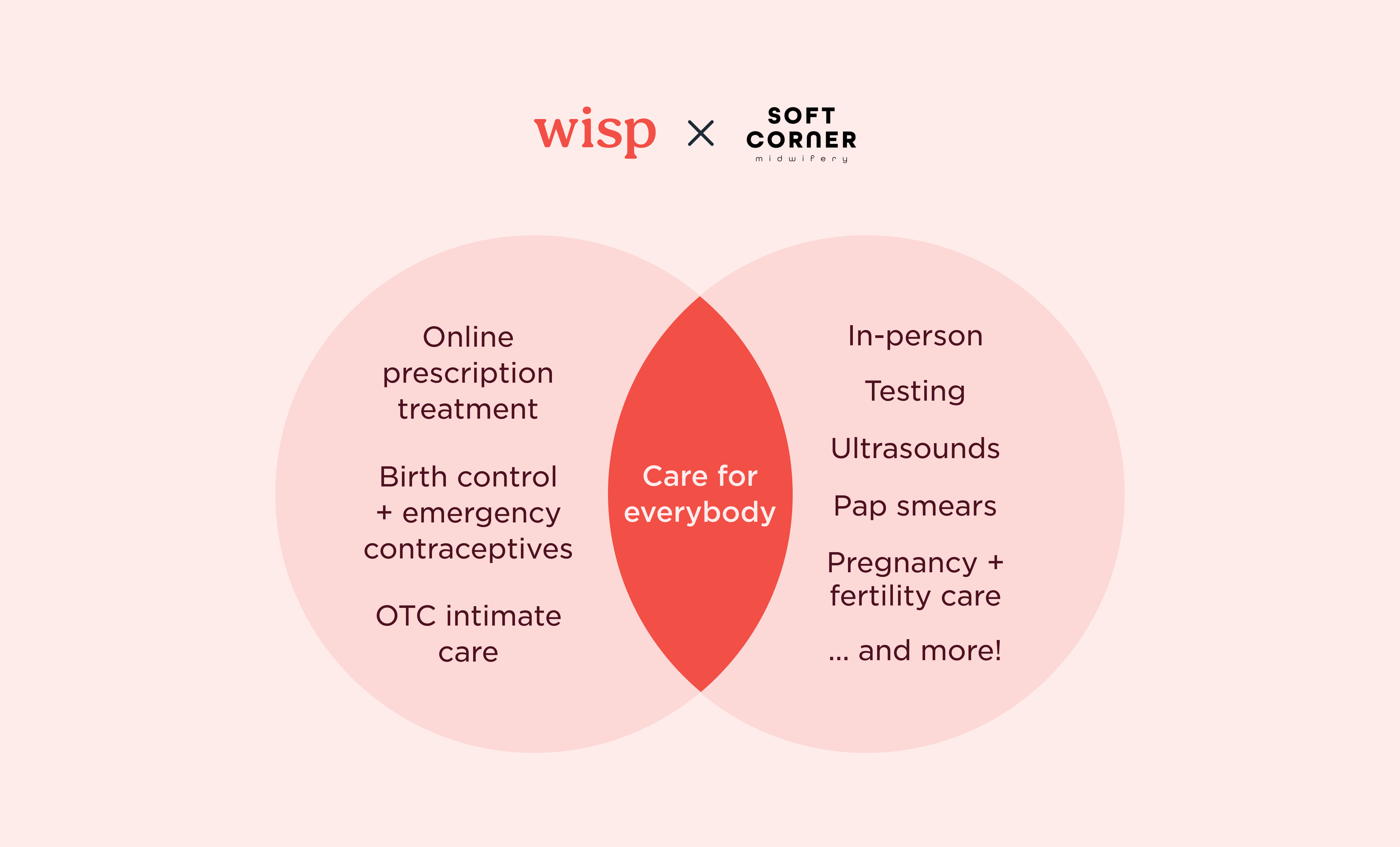 Wisp x Soft Corner Midwifery | wisp