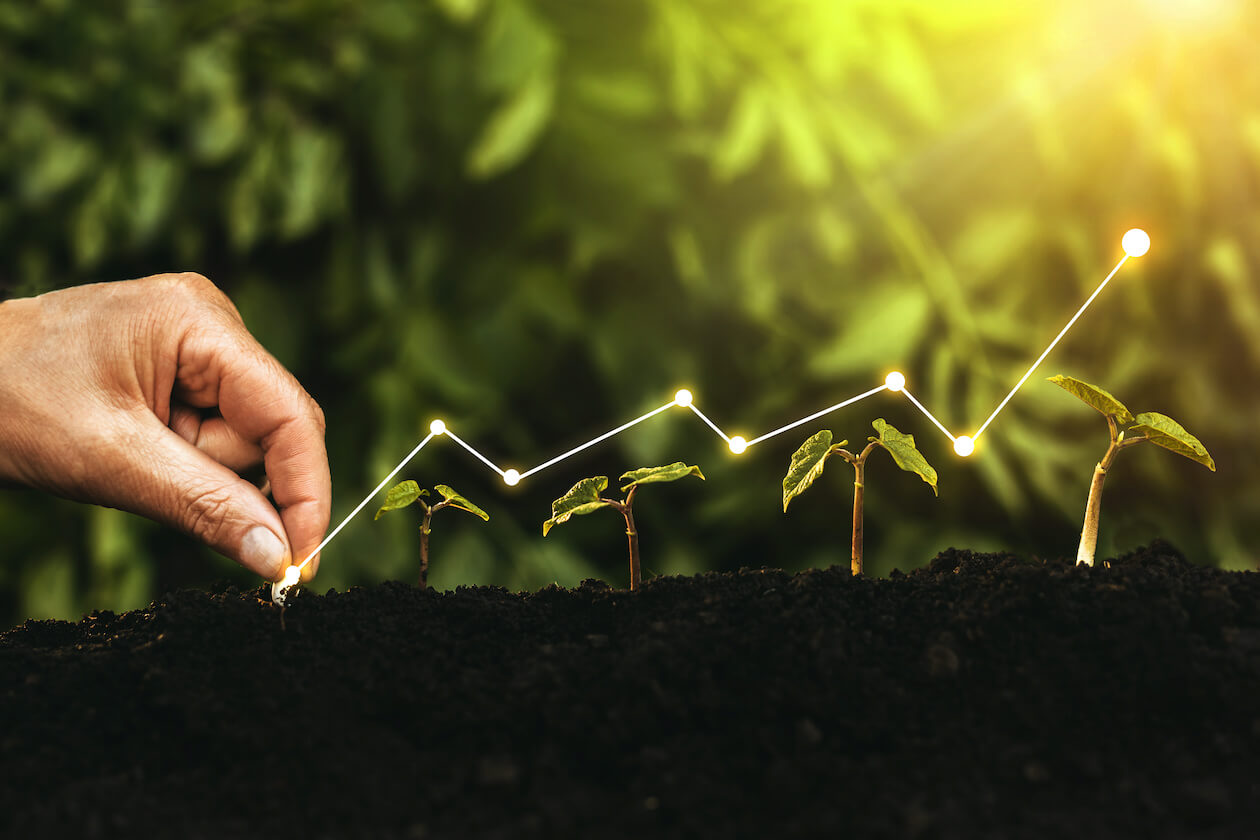 An Introduction to Green Growth