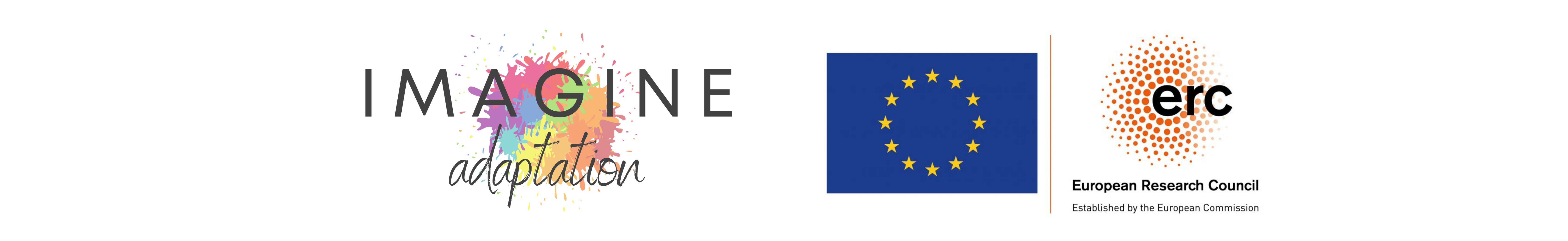 What does successful urban adaptation look like?