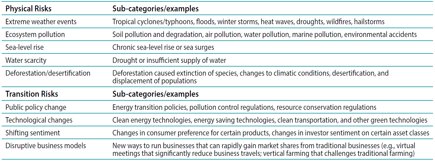 Materiality and Stranded Assets