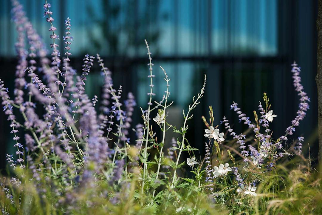 EWR AG Worms - Energie auf neuen Wegen