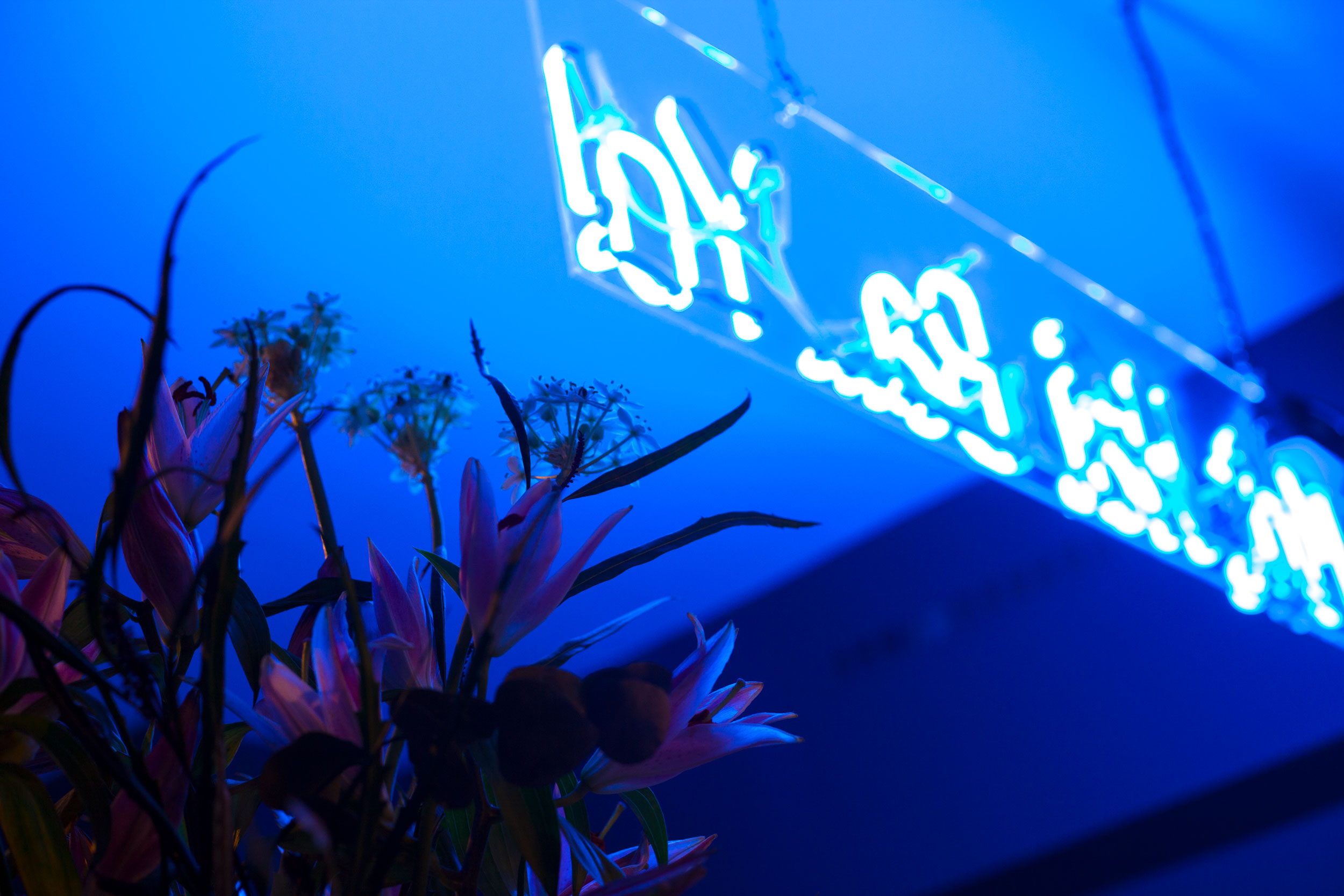 Vibes: Modern Vietnamese Tapas & Cocktails in a Hip Locale