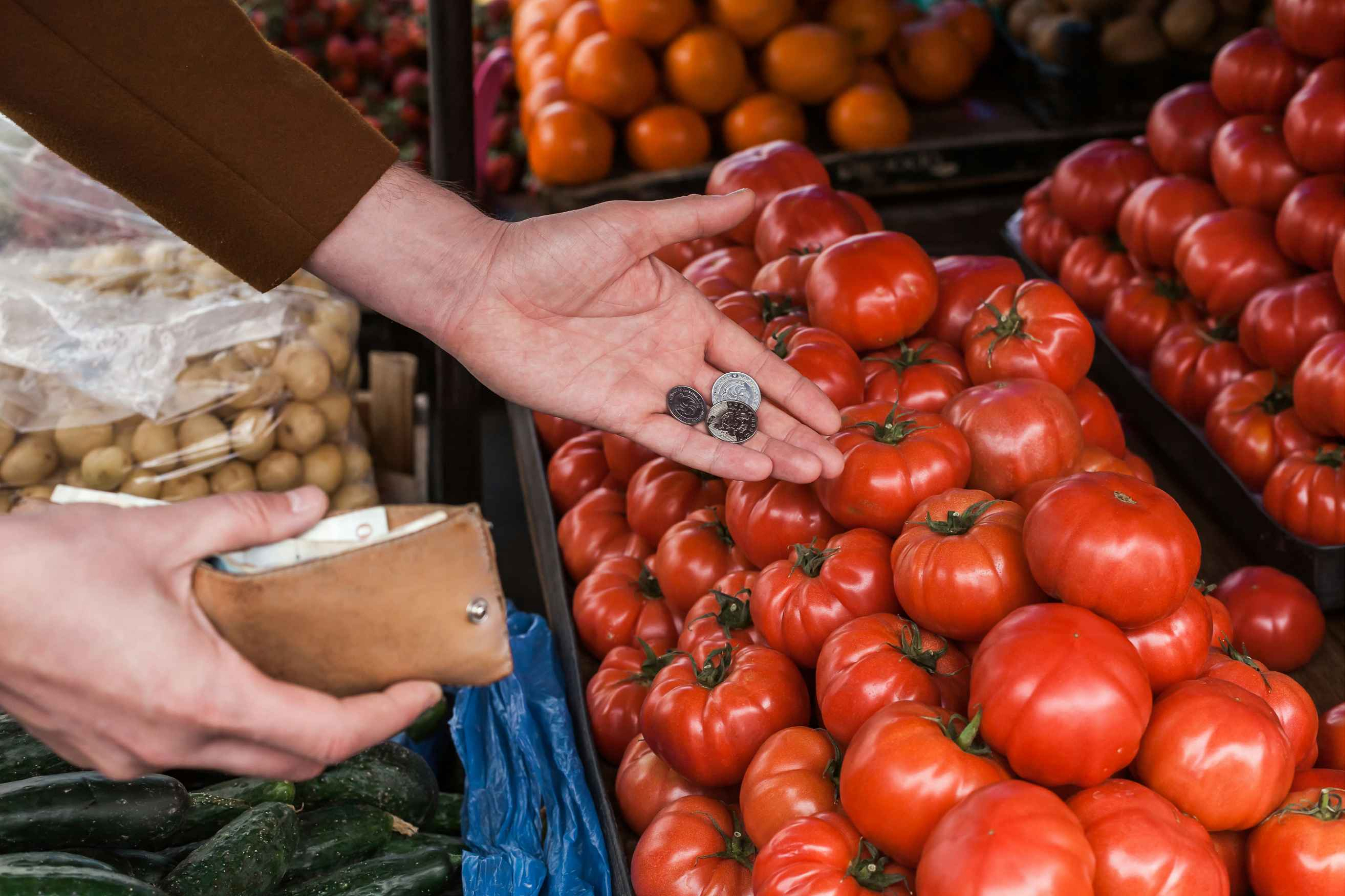 Card Machine Not Working? Causes And Solutions For Small Business Owners