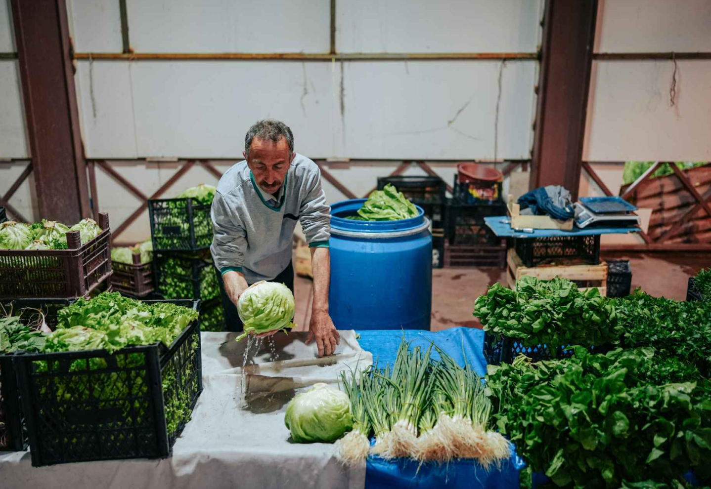 Legal Requirements for Starting a Small Business in the UK