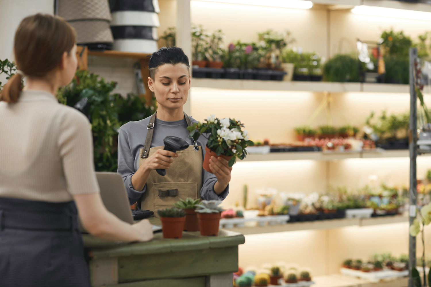 How to Take Card Payments Over the Phone