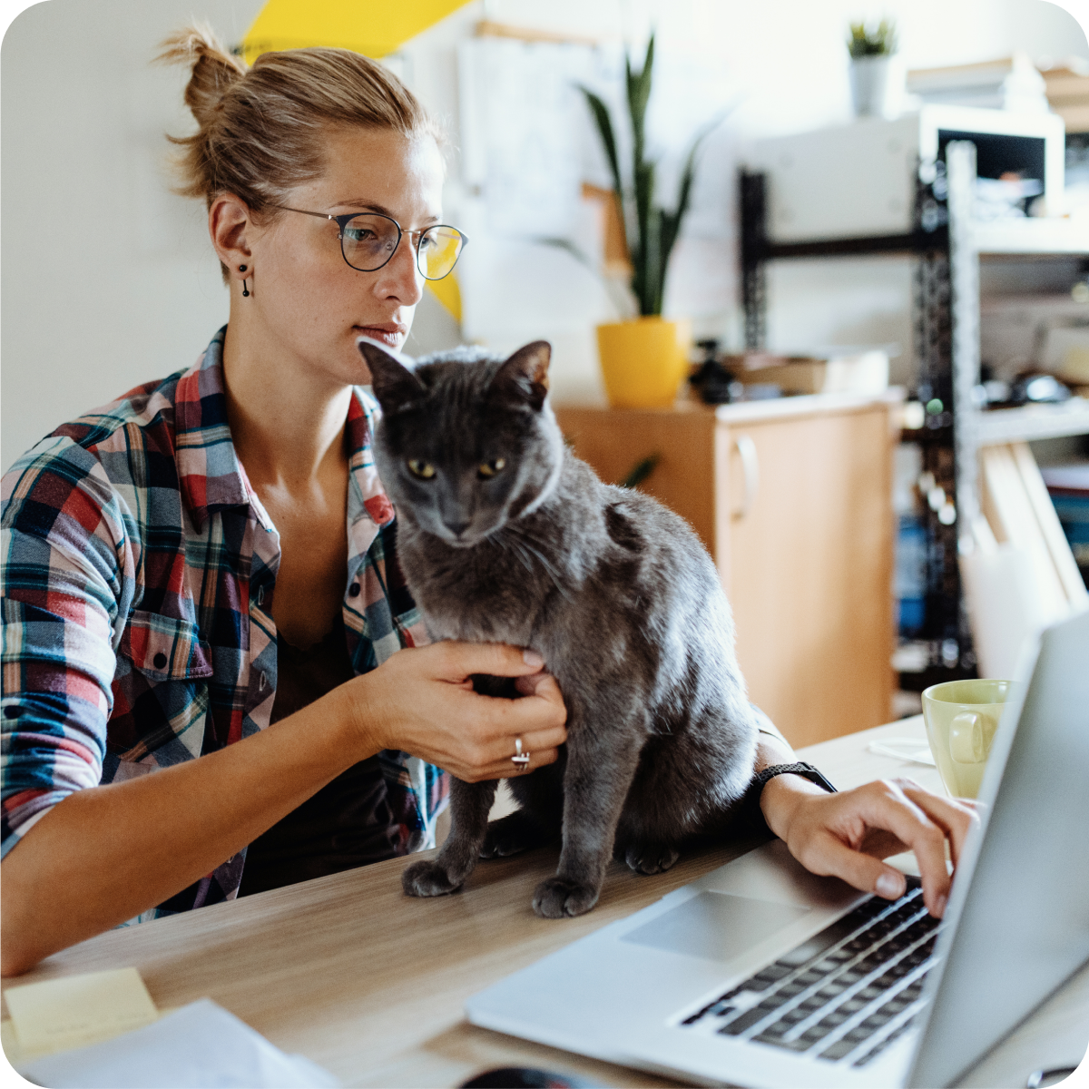 Pet Store POS System and Solutions | SumUp