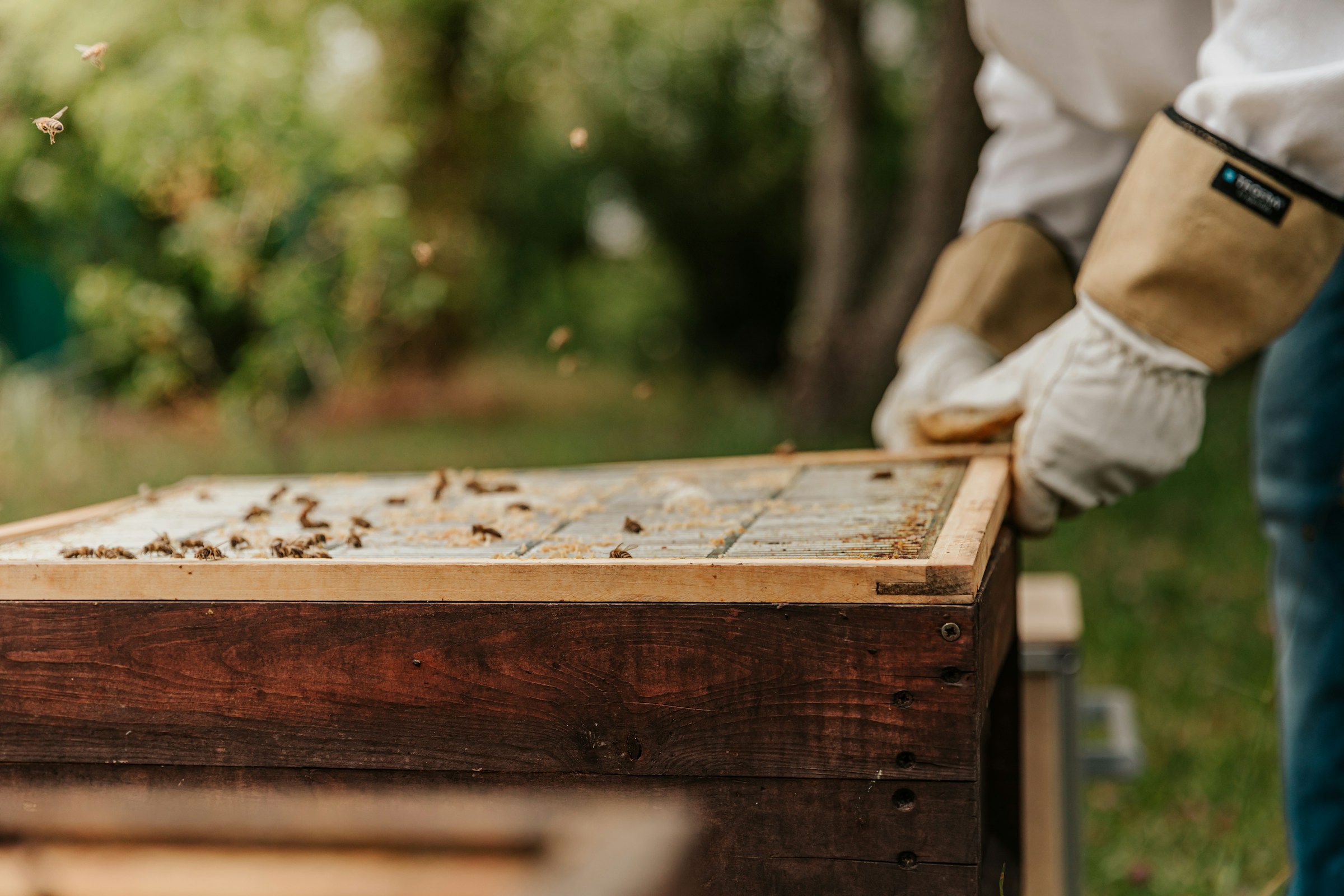 Hobbies That Make Money: 20 Ideas To Inspire You