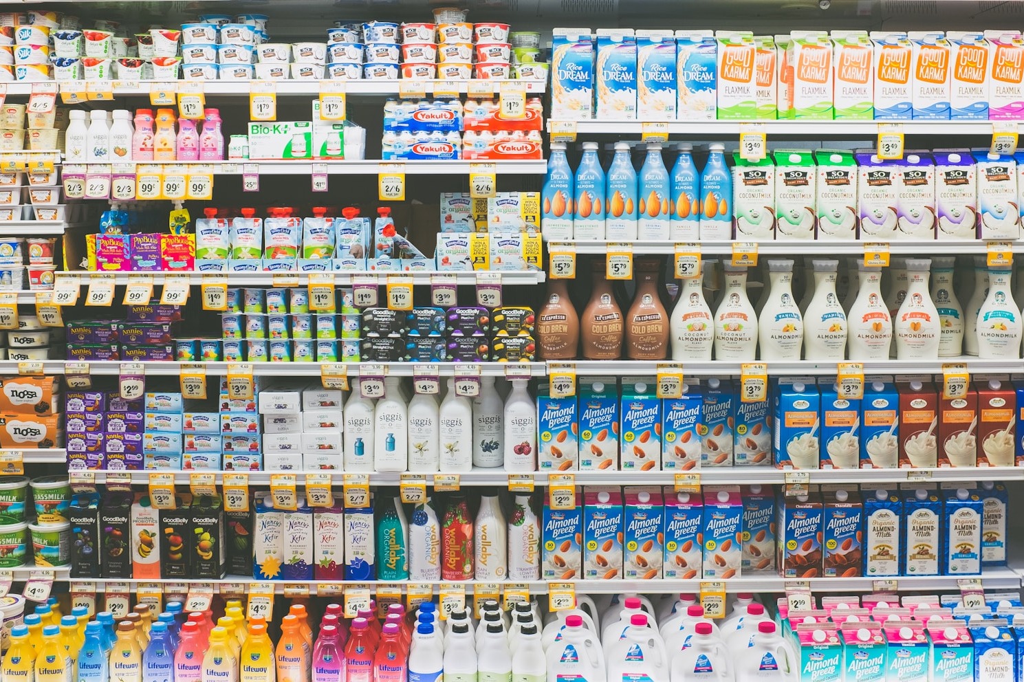 Aprire un Piccolo Negozio di Alimentari: Idee+Costi [Guida]