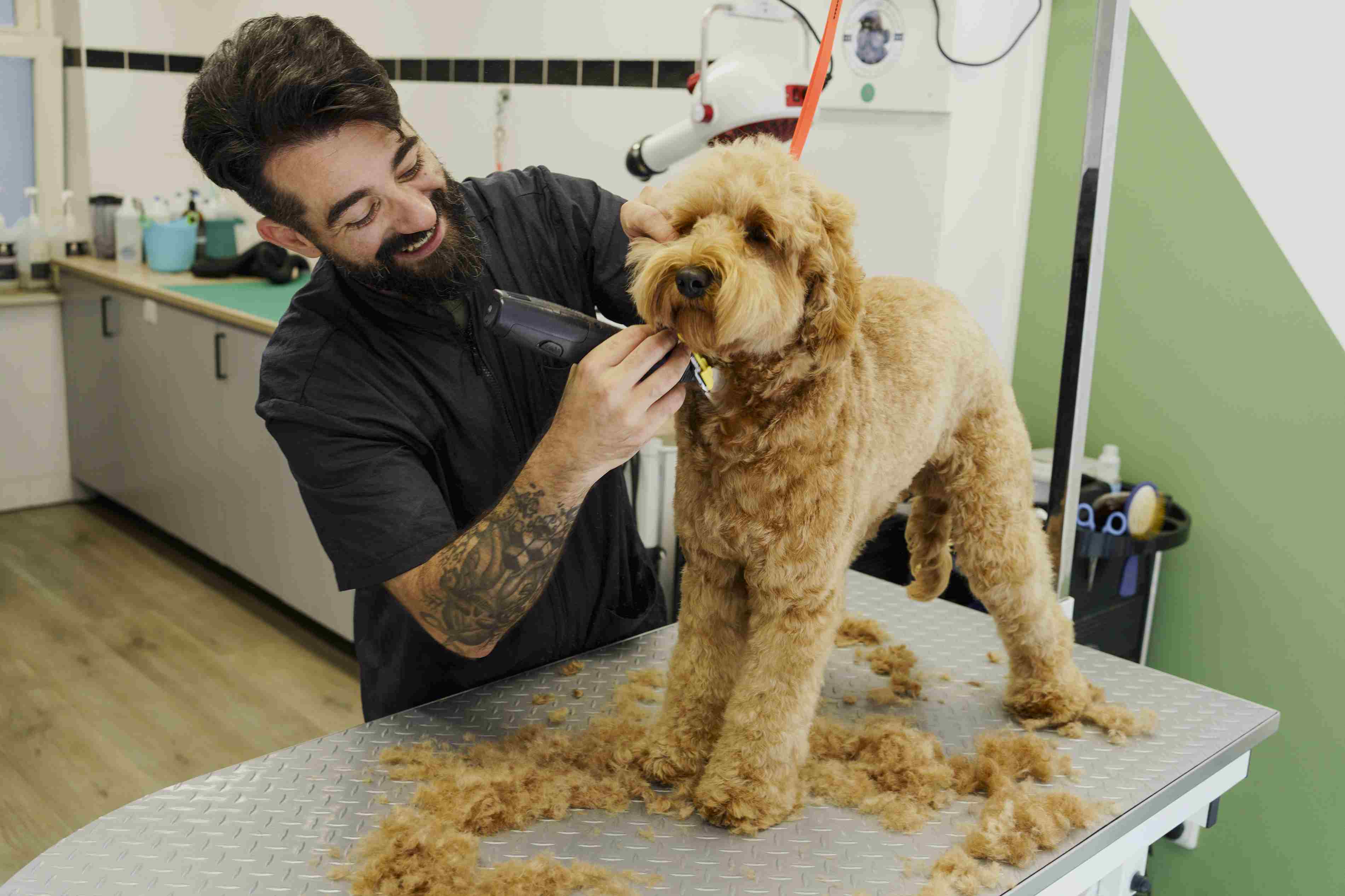 Recession-Proof Businesses: Opportunities You Can Seize