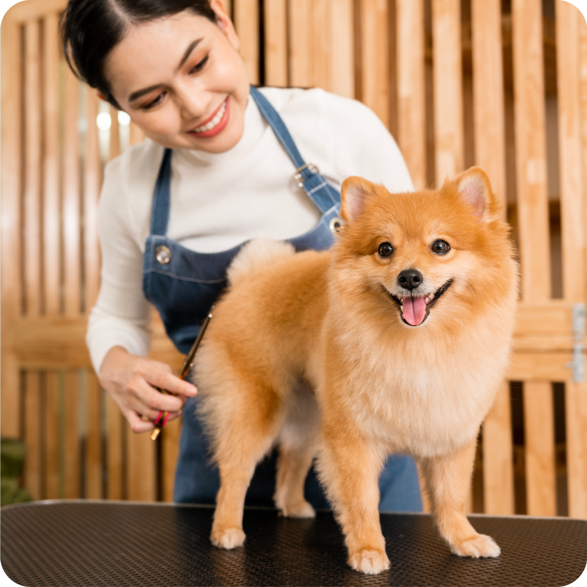 Pet Store POS System and Solutions | SumUp