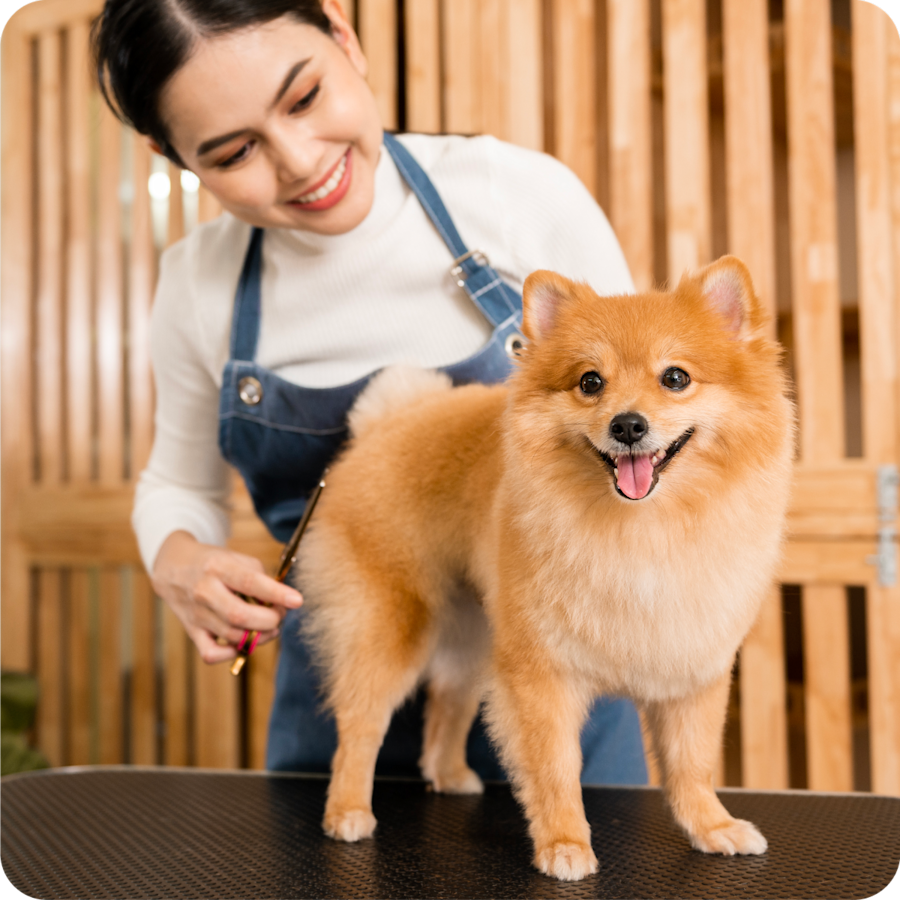 Pet Store POS System and Solutions | SumUp