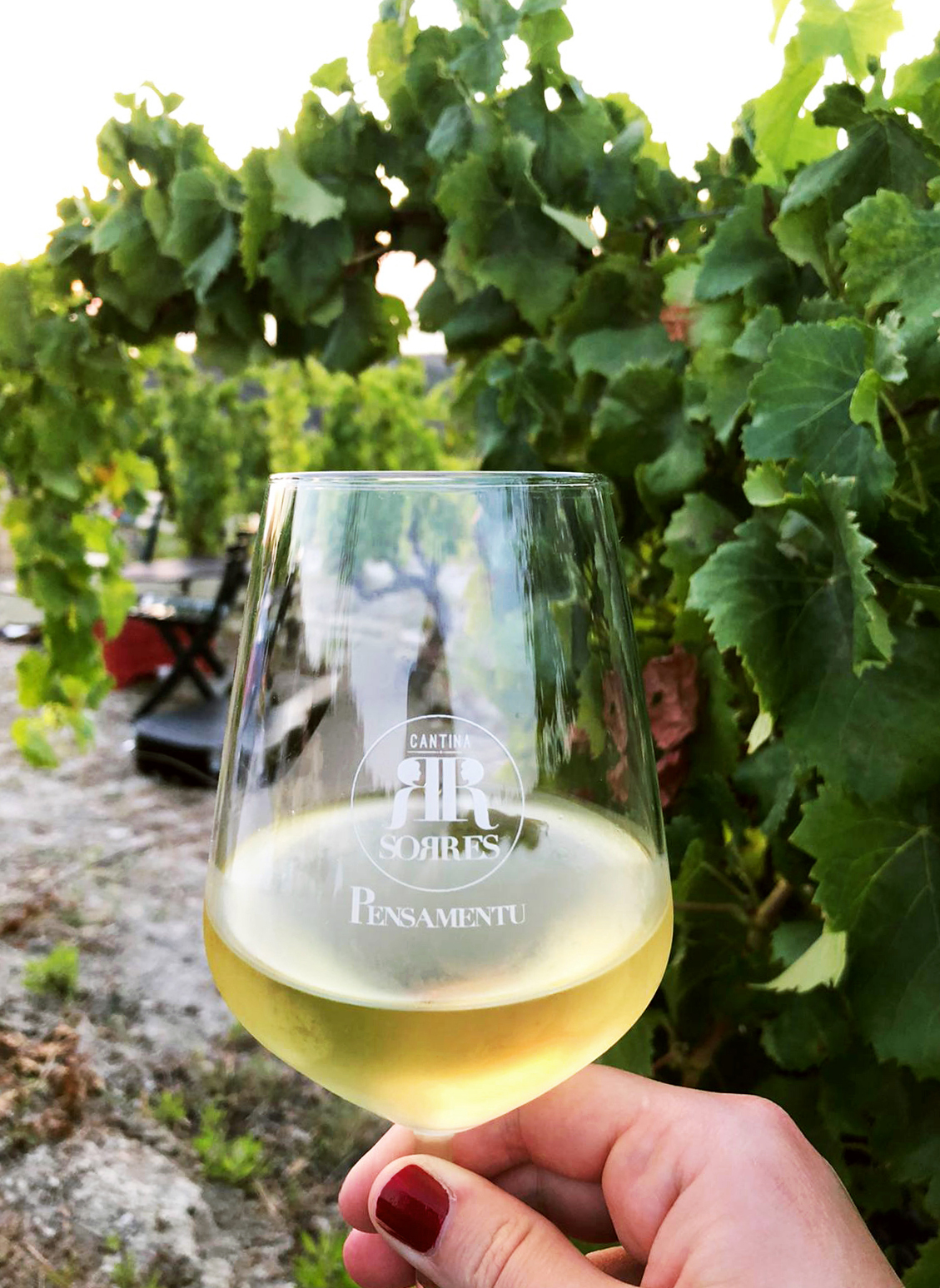 Cantina Sorres: traditional wine-making using modern payments