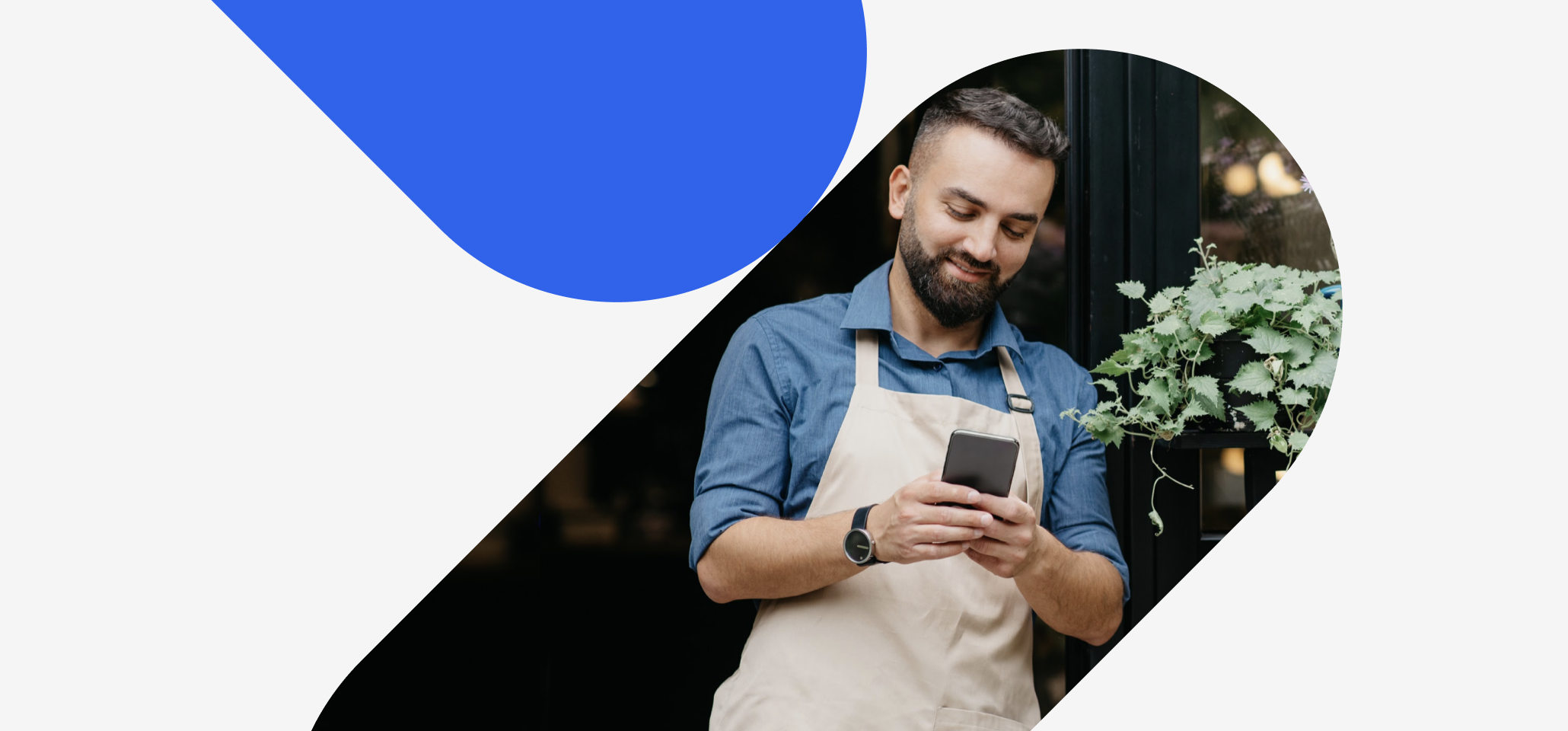 How to create and publish a website