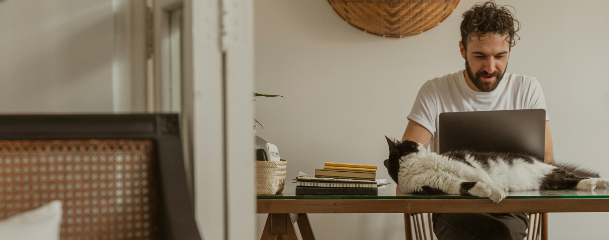 O que é CNPJ: para que serve, como emitir e mais