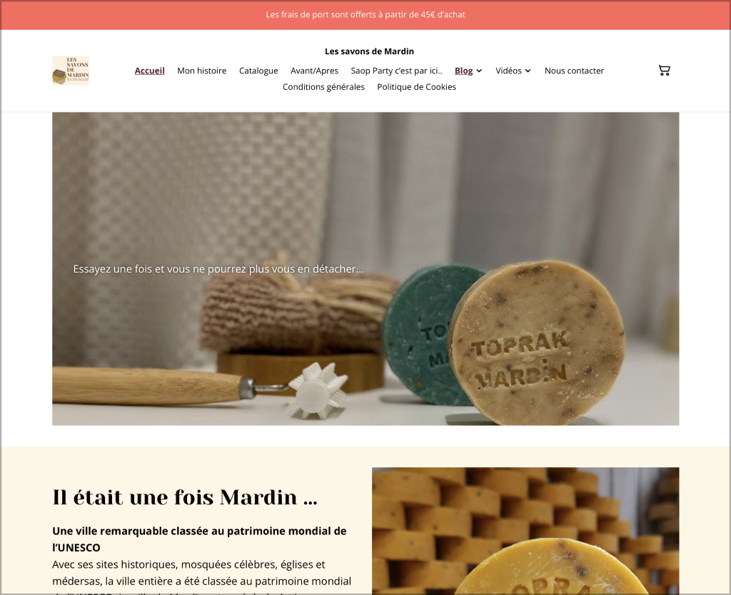 SumUp Online Store examples