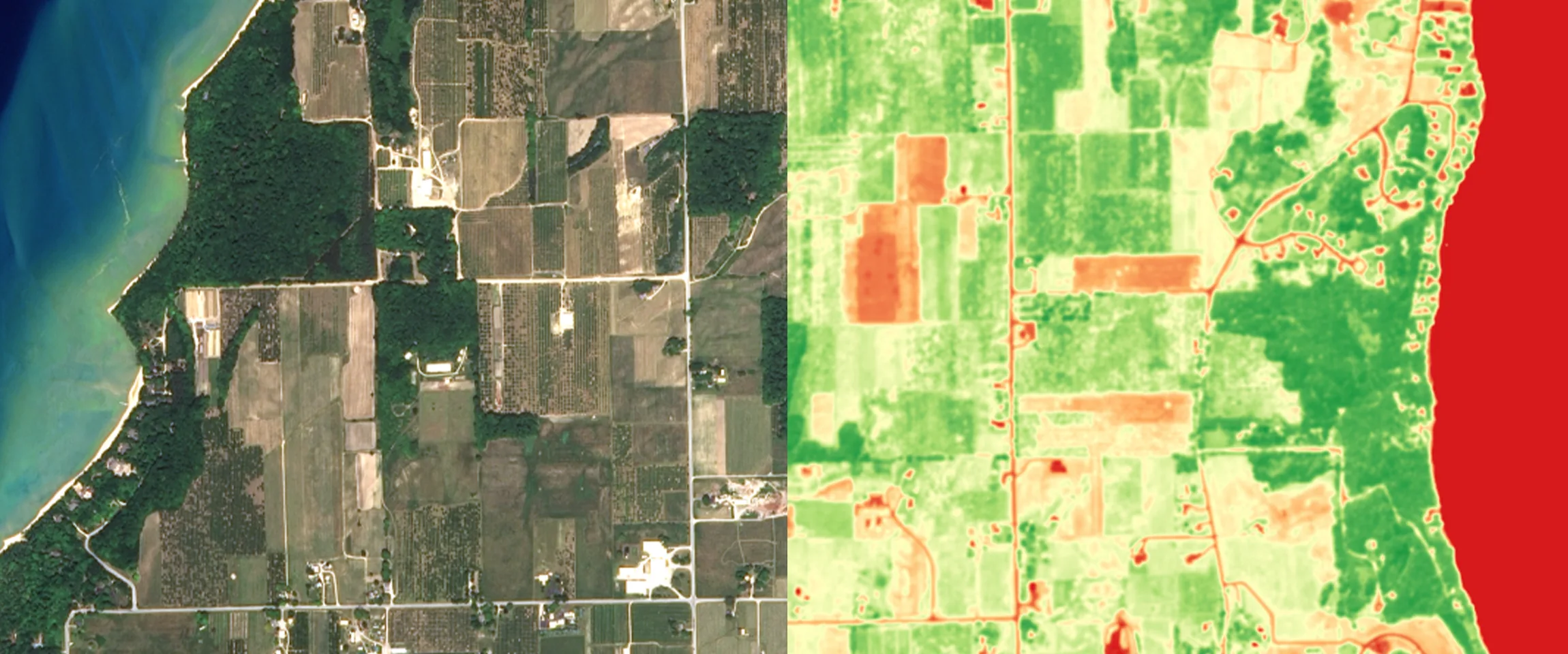 NDVI Analysis: A Comprehensive Overview for Farmers | SkyFi