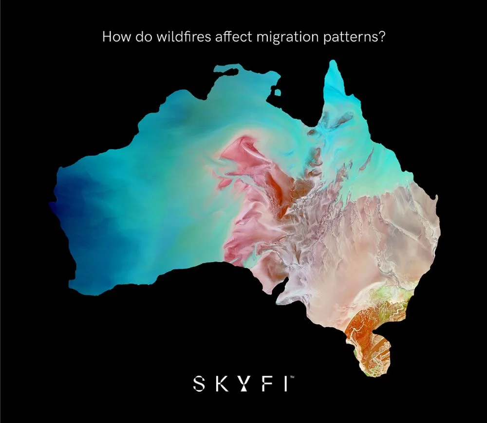 Get Ready for SkyFi Insights | SkyFi