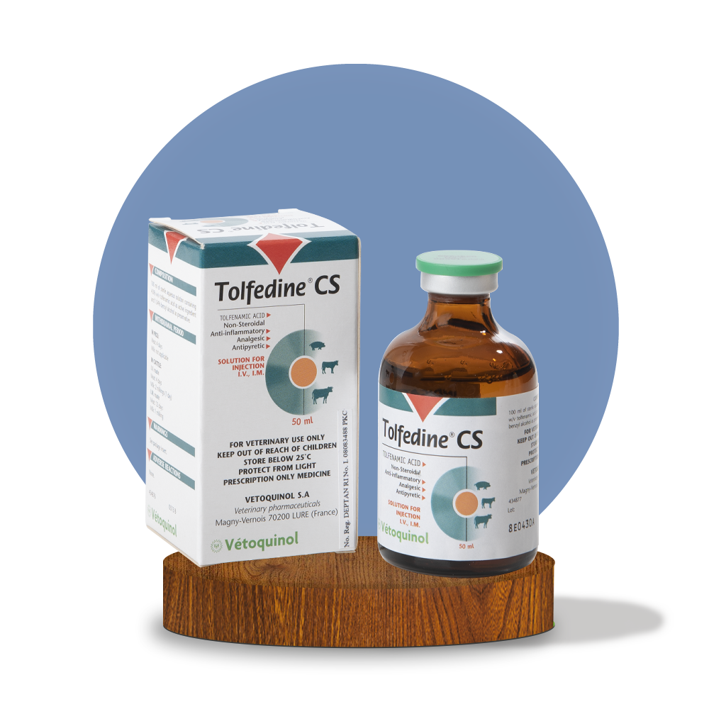 Hewan Besar | Agroveta Husada Dharma