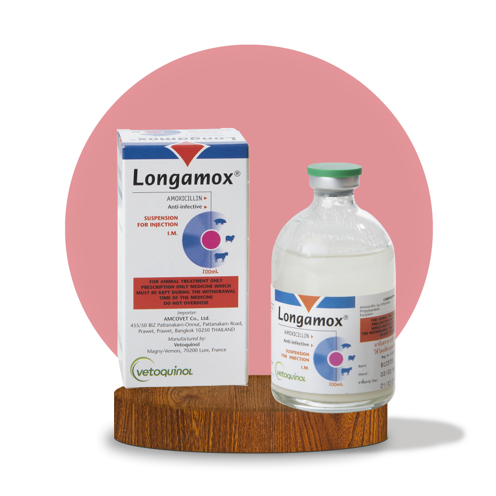 Hewan Kesayangan | Agroveta Husada Dharma