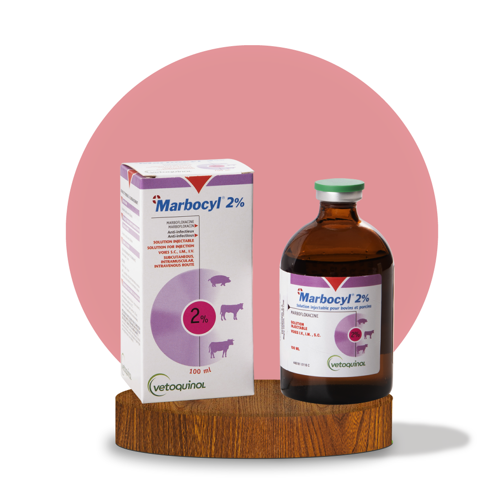 Hewan Kesayangan | Agroveta Husada Dharma