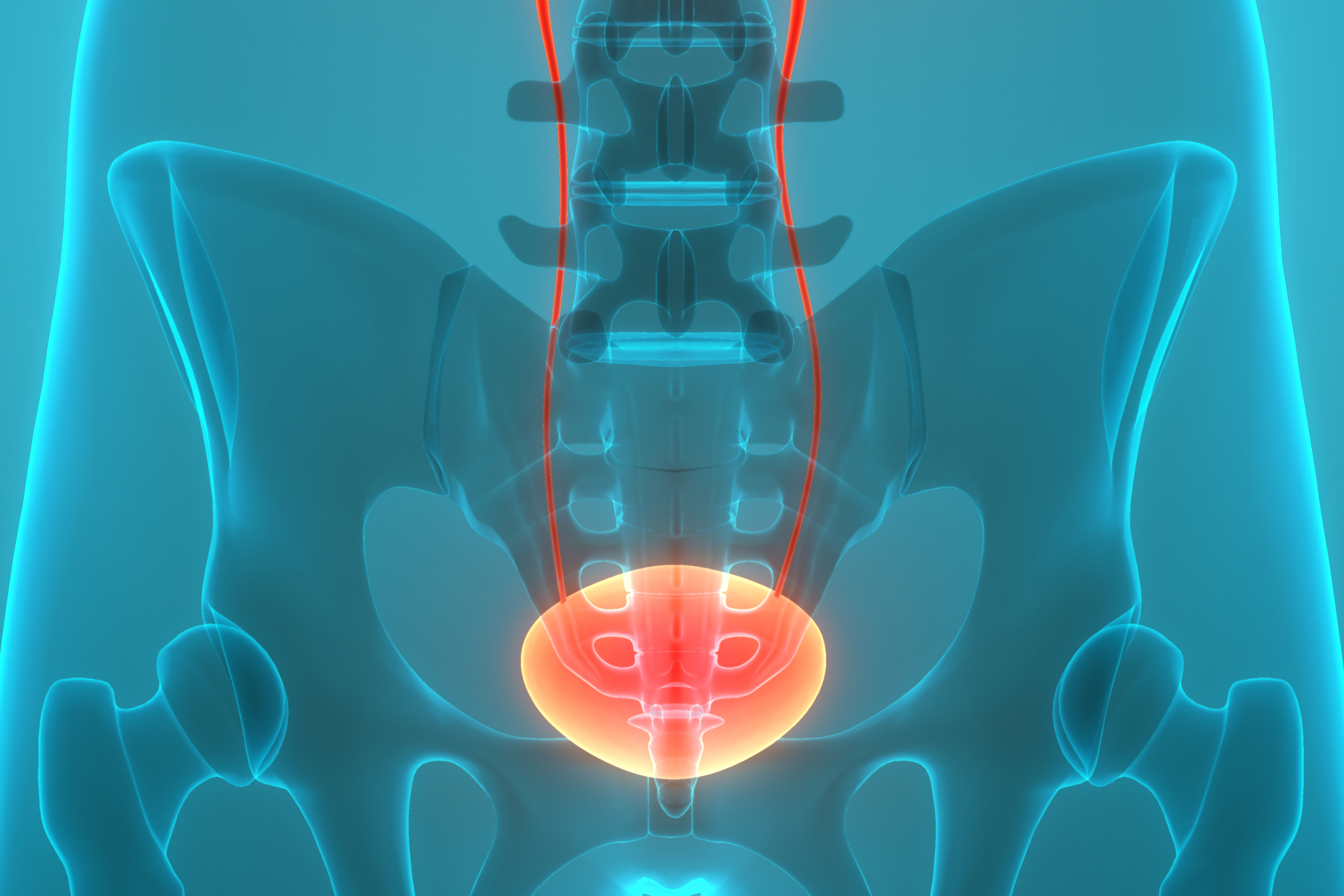 Bladder Fulguration: Everything You Need To Know