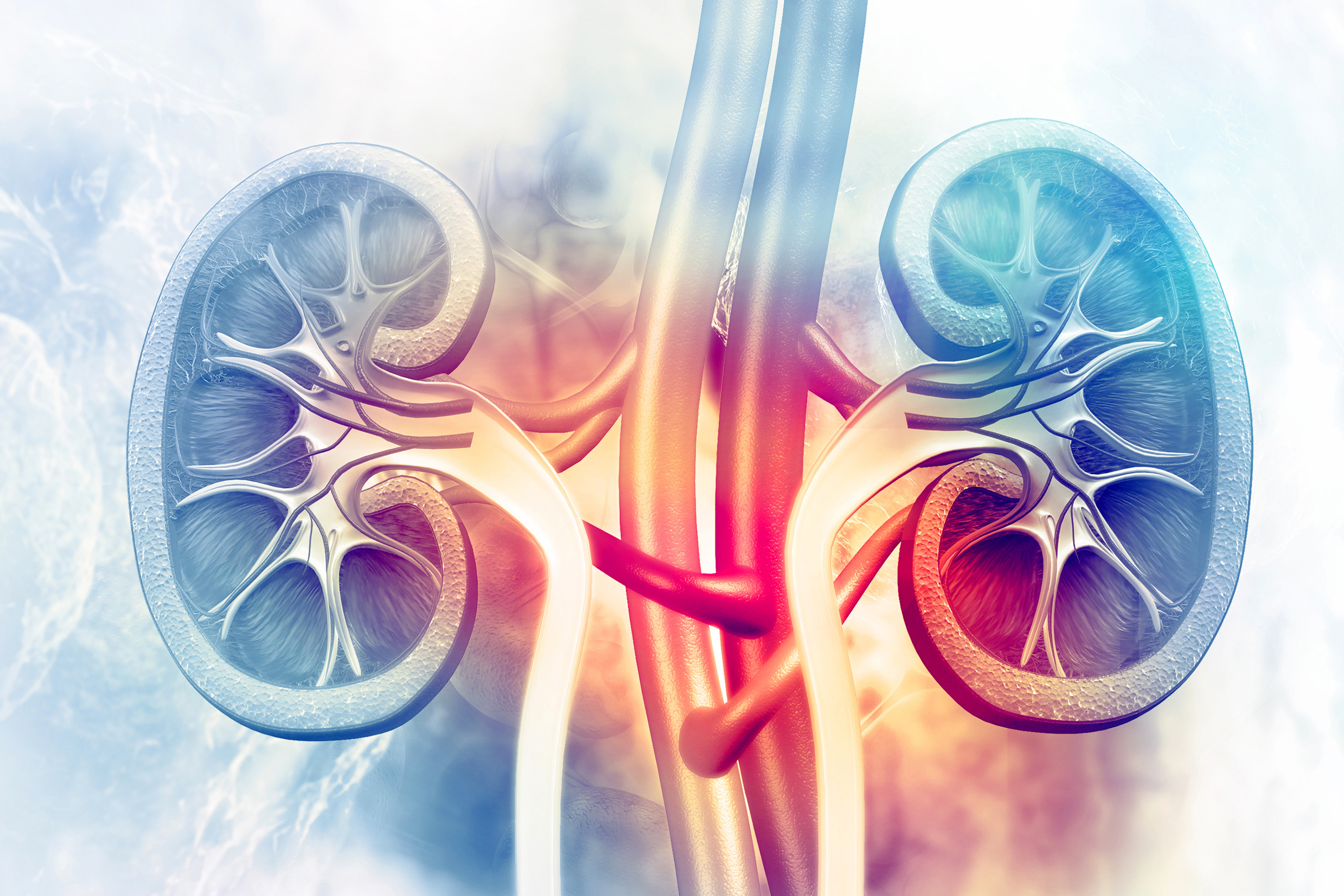 Does Kidney Function Affect CLL Treatment?