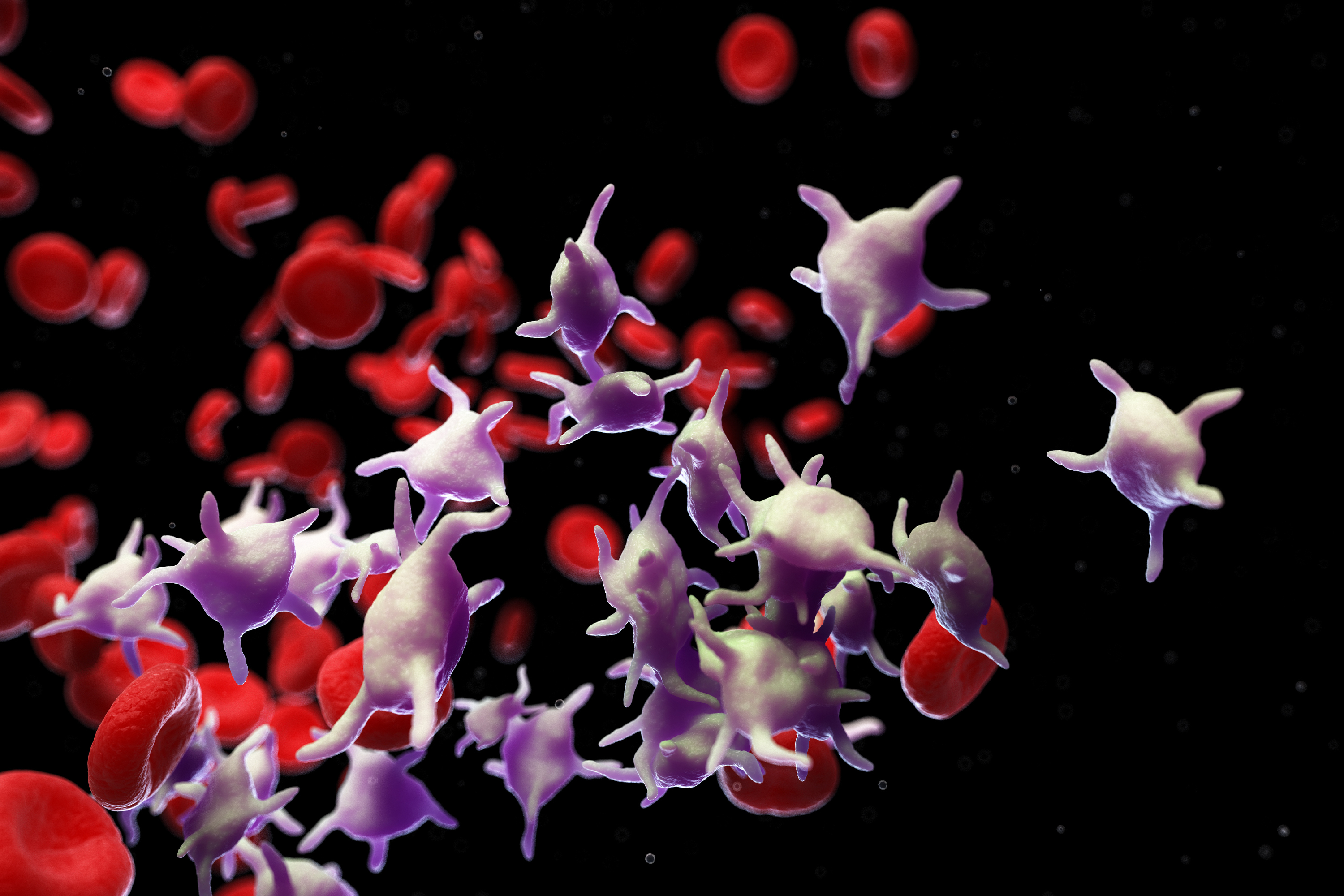 Trials Provide Insights on Platelet Therapy in ITP