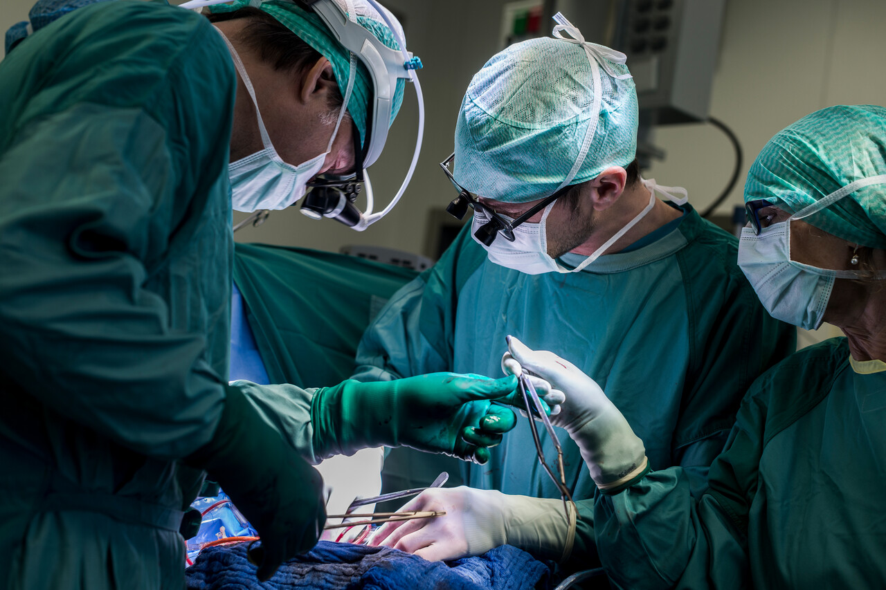 What is Castration Surgery for Prostate Cancer?