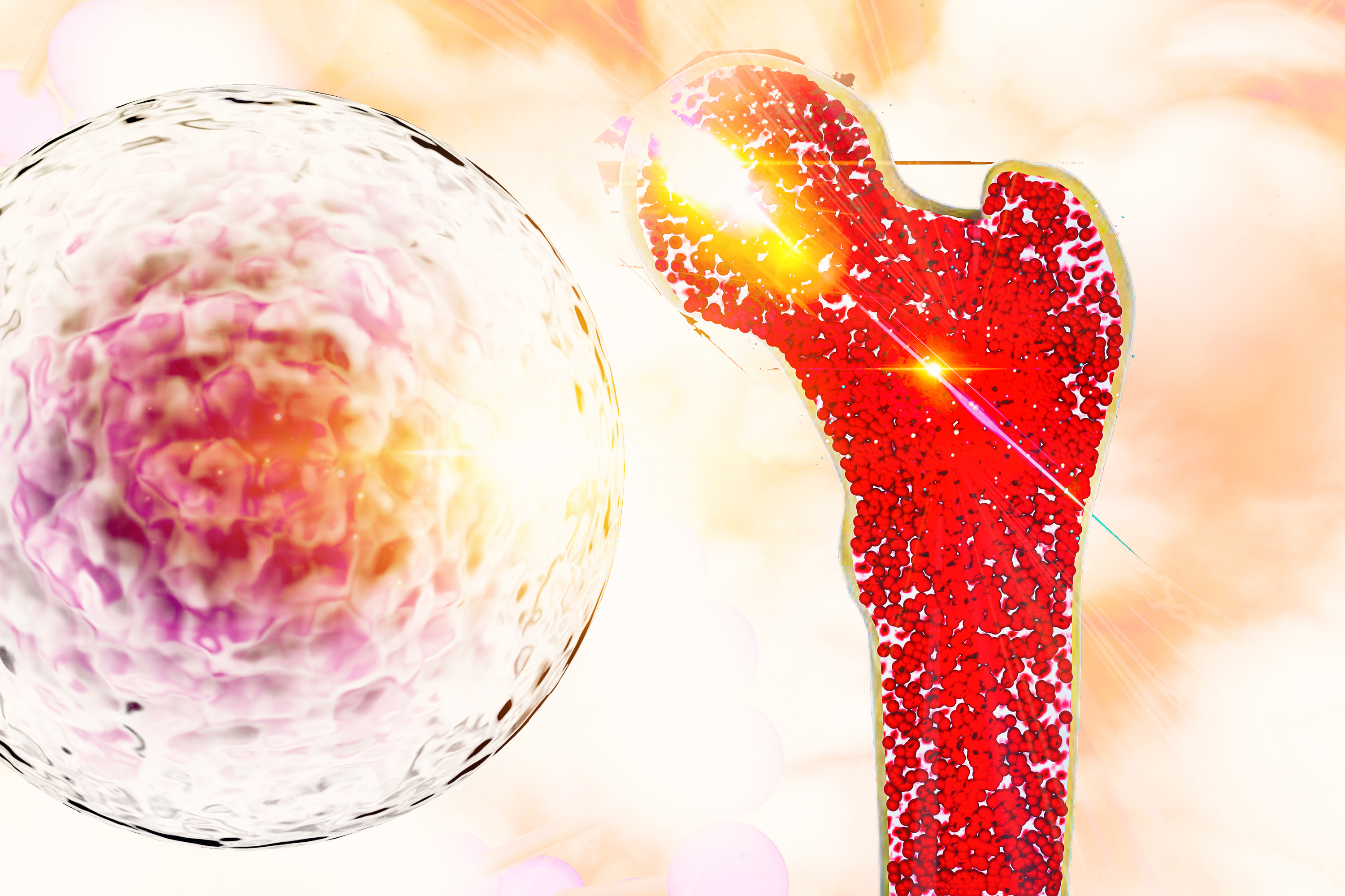 How Often Do I Need a Bone Marrow Biopsy?