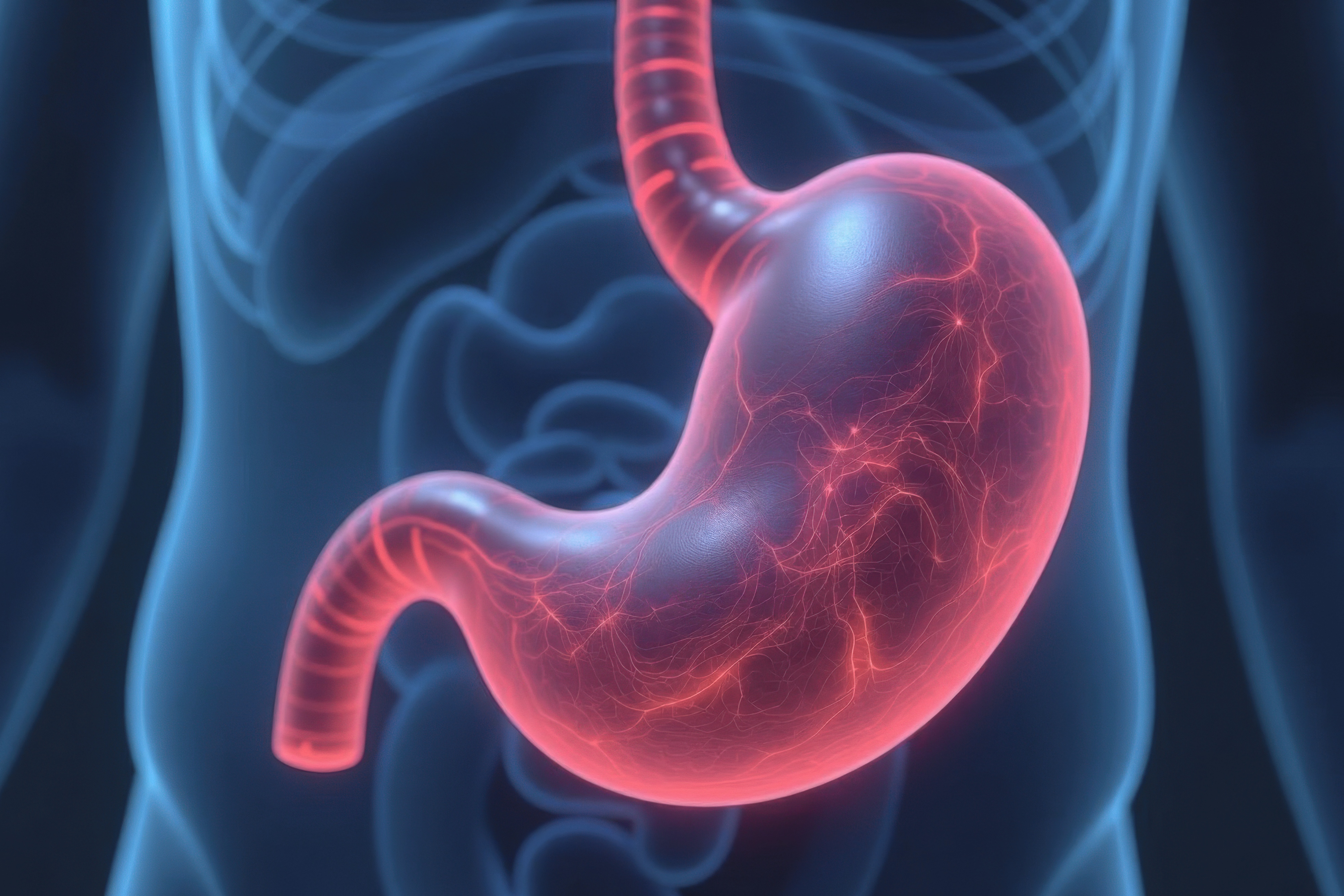 What Is Intestinal Metaplasia? Causes & Risks