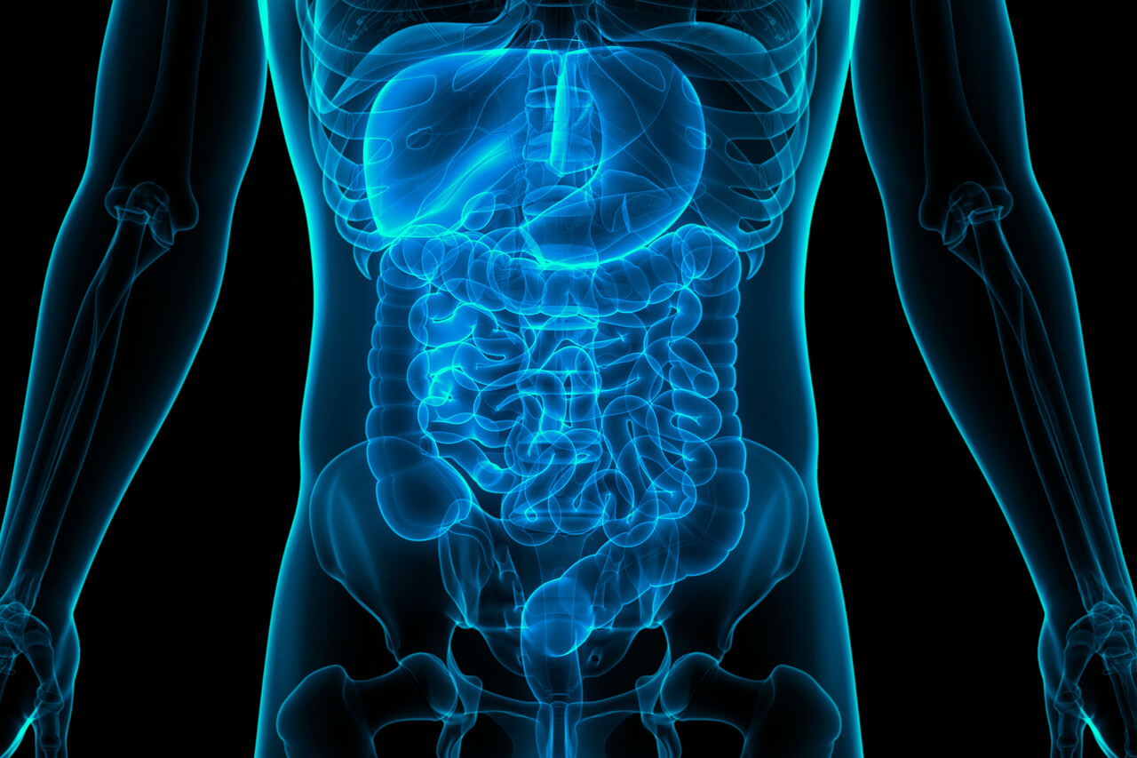 Answers Now: How Does Multiple Myeloma Affect Other Organs?