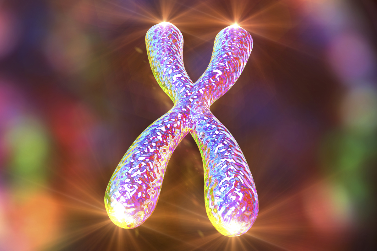 What Tests Can Determine an AML Patient’s Subtype?