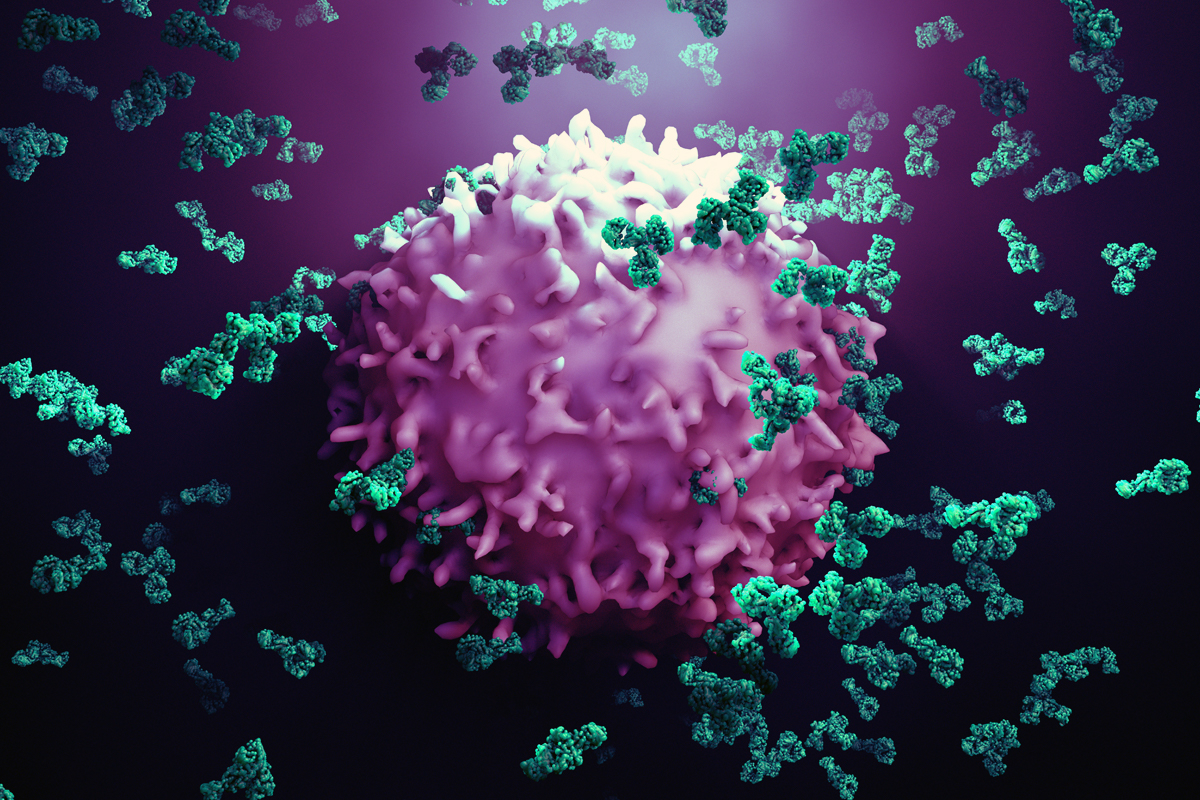 Antibodies, Immunotherapy and Clinical Trials