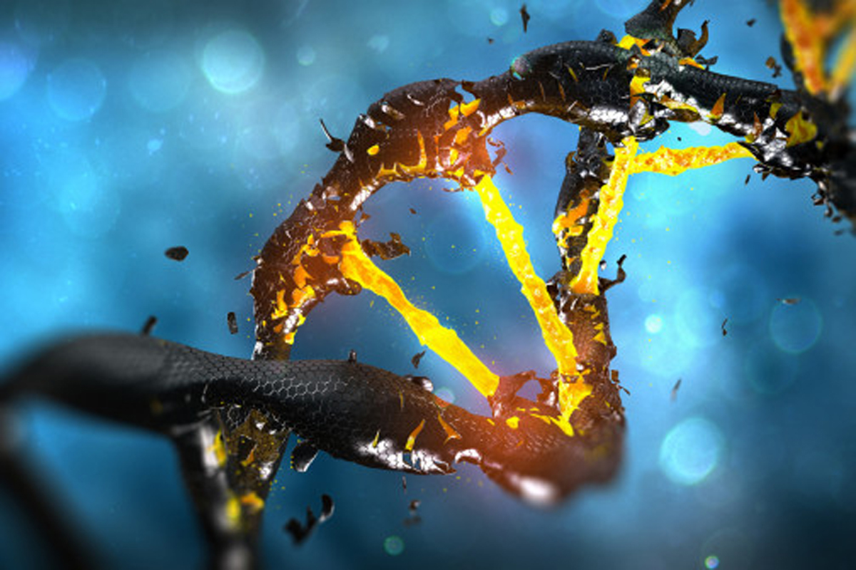 Can CLL Mutations Change Over Time?