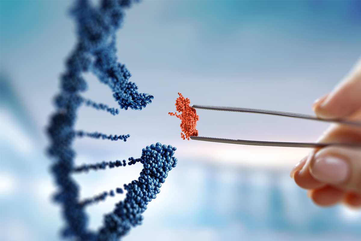 The Promise of CRISPR