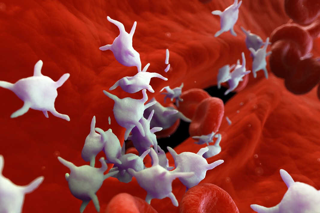 How Are Platelets and Bruising Connected?