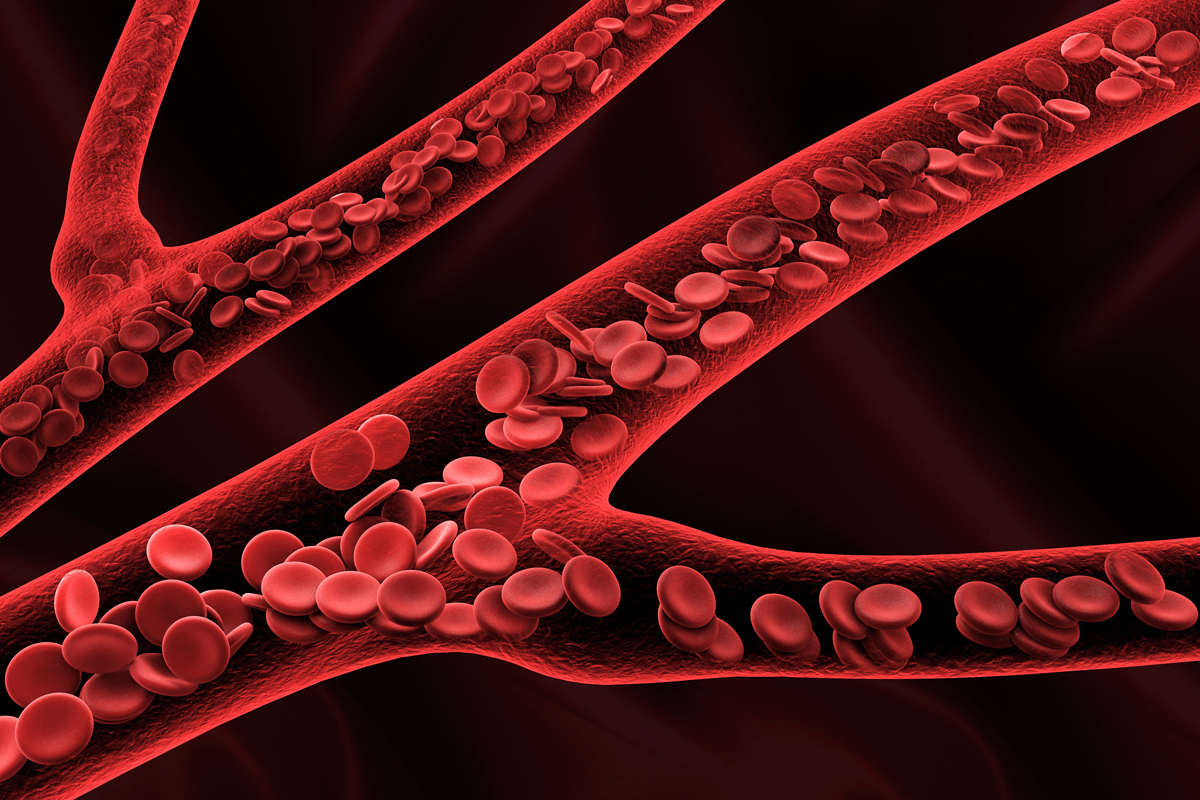 Blood Test 101: Understanding Red Cell Development