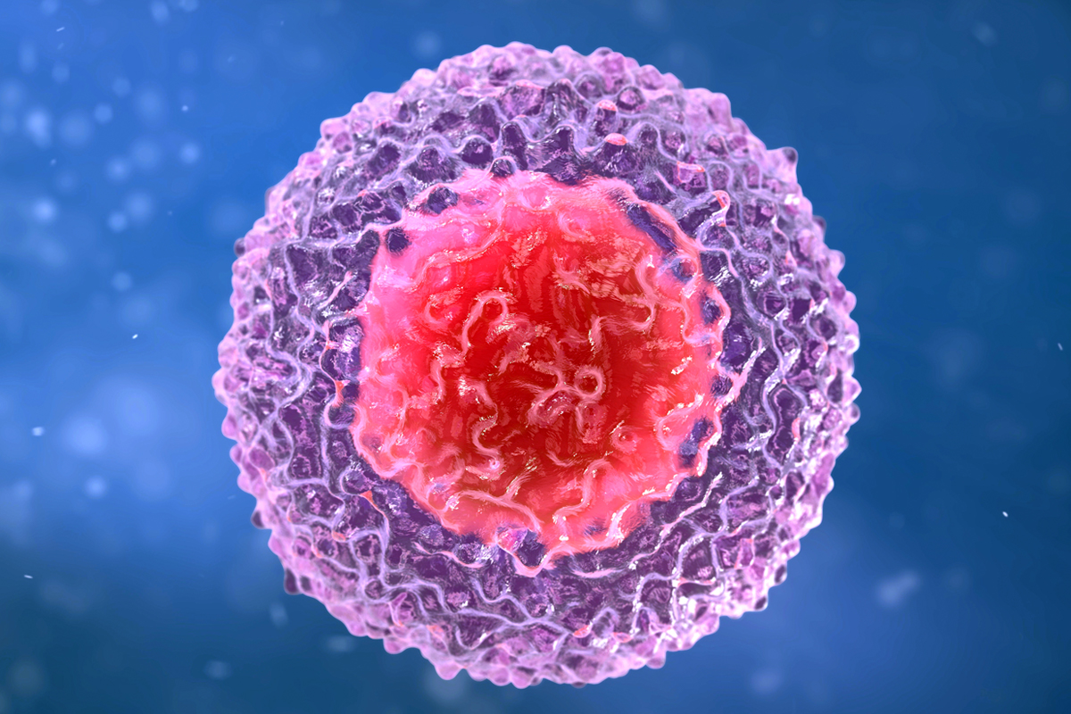 Dr. Susan Leclair Explains Lymphocyte Doubling Time